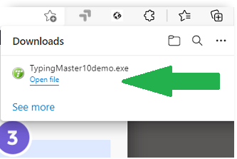 Typing Coach 11 Download Instructions for Edge Browser